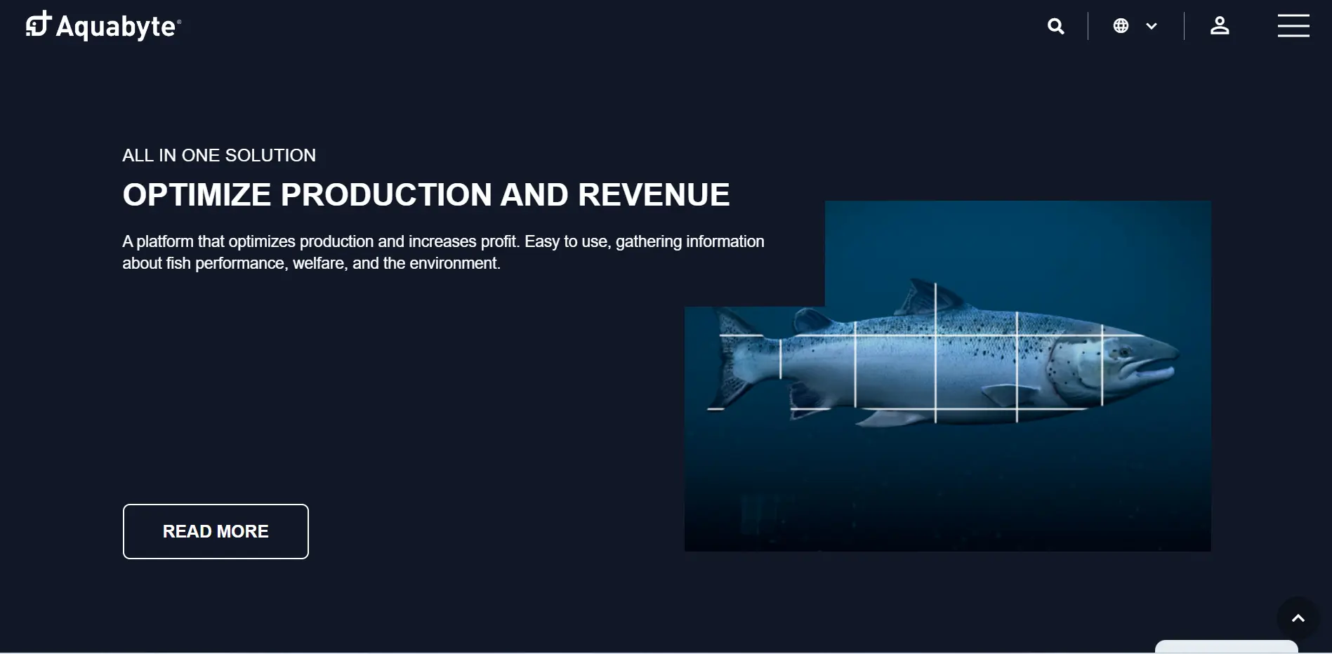 Build AI Model For Fish Detection Using Kaggle Dataset